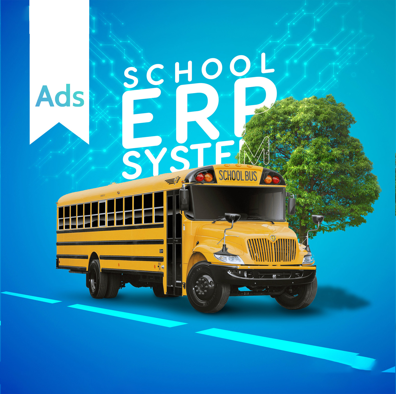 Hesham Haleem - Portfolio